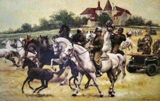 Tickets und Infos Bundesgestüt Piber 70-jähriges Jubiläum der Rettung ...